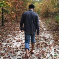 Stitched – Hole In The Hedgerow